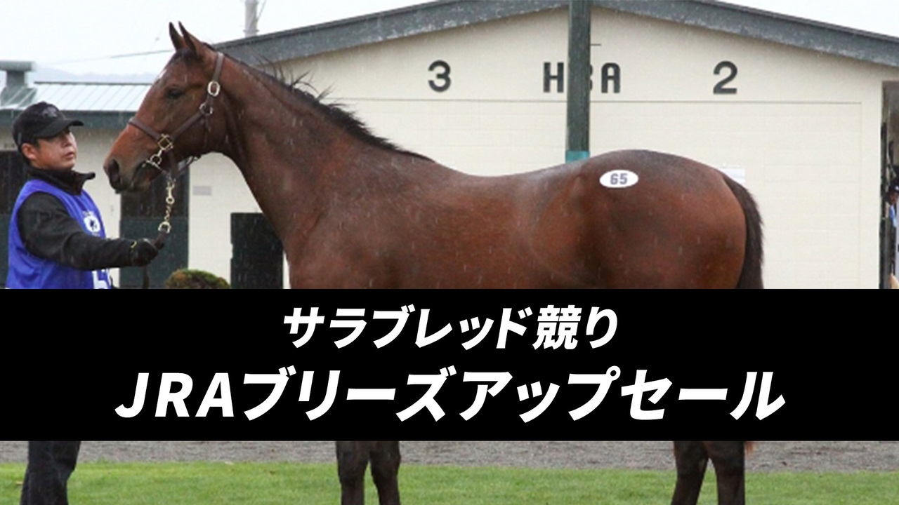 【競走馬セリ】サラブレッド競り市場2024「JRAブリーズアップセール」 - 2024/4/23(火) 11:45開始 - ニコニコ生放送